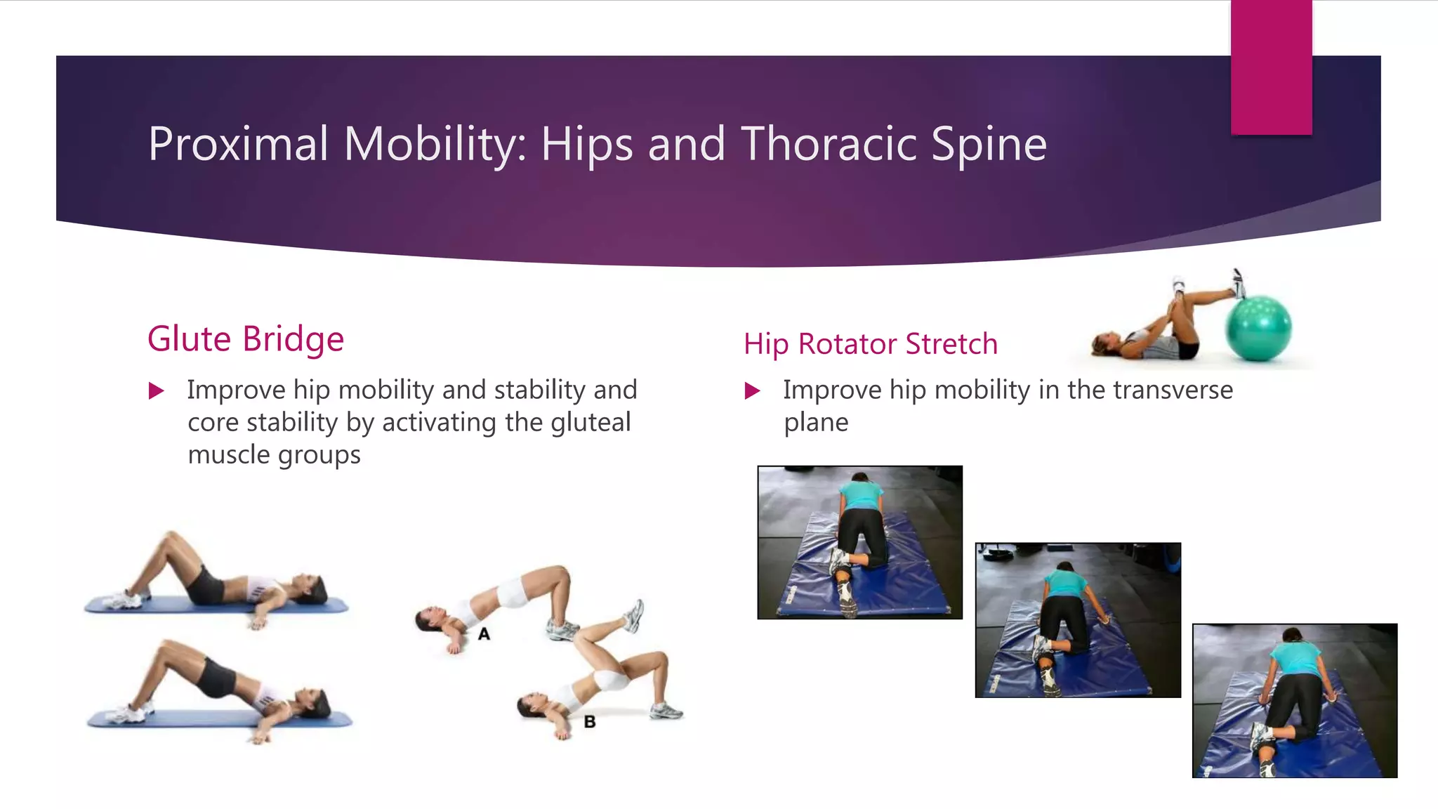 Proximal Stability & Core Rehabilitation | PPTX
