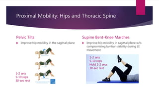Proximal Stability & Core Rehabilitation | PPTX