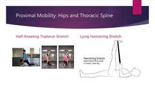 Proximal Stability & Core Rehabilitation | PPTX