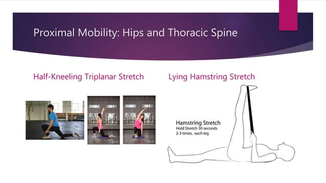 Proximal Stability & Core Rehabilitation | PPT | Free download