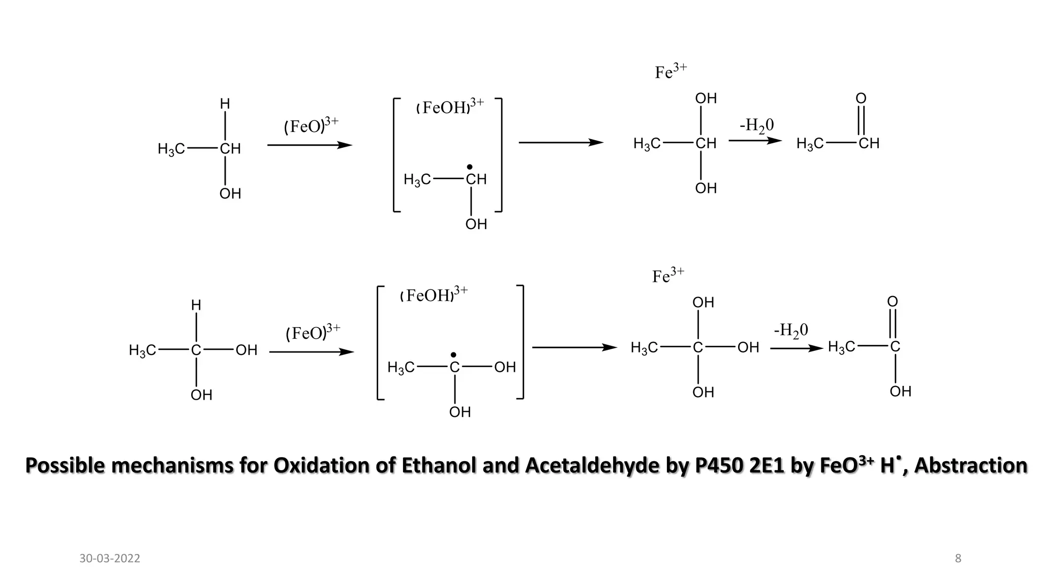 Phase 1 metabolism.pptx