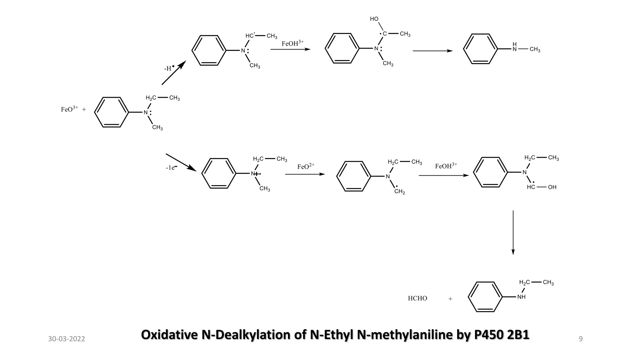 Phase 1 metabolism.pptx