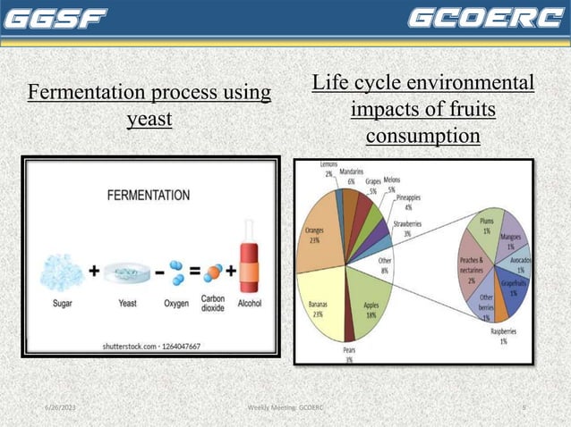 phase 1 ppt (1).pptx