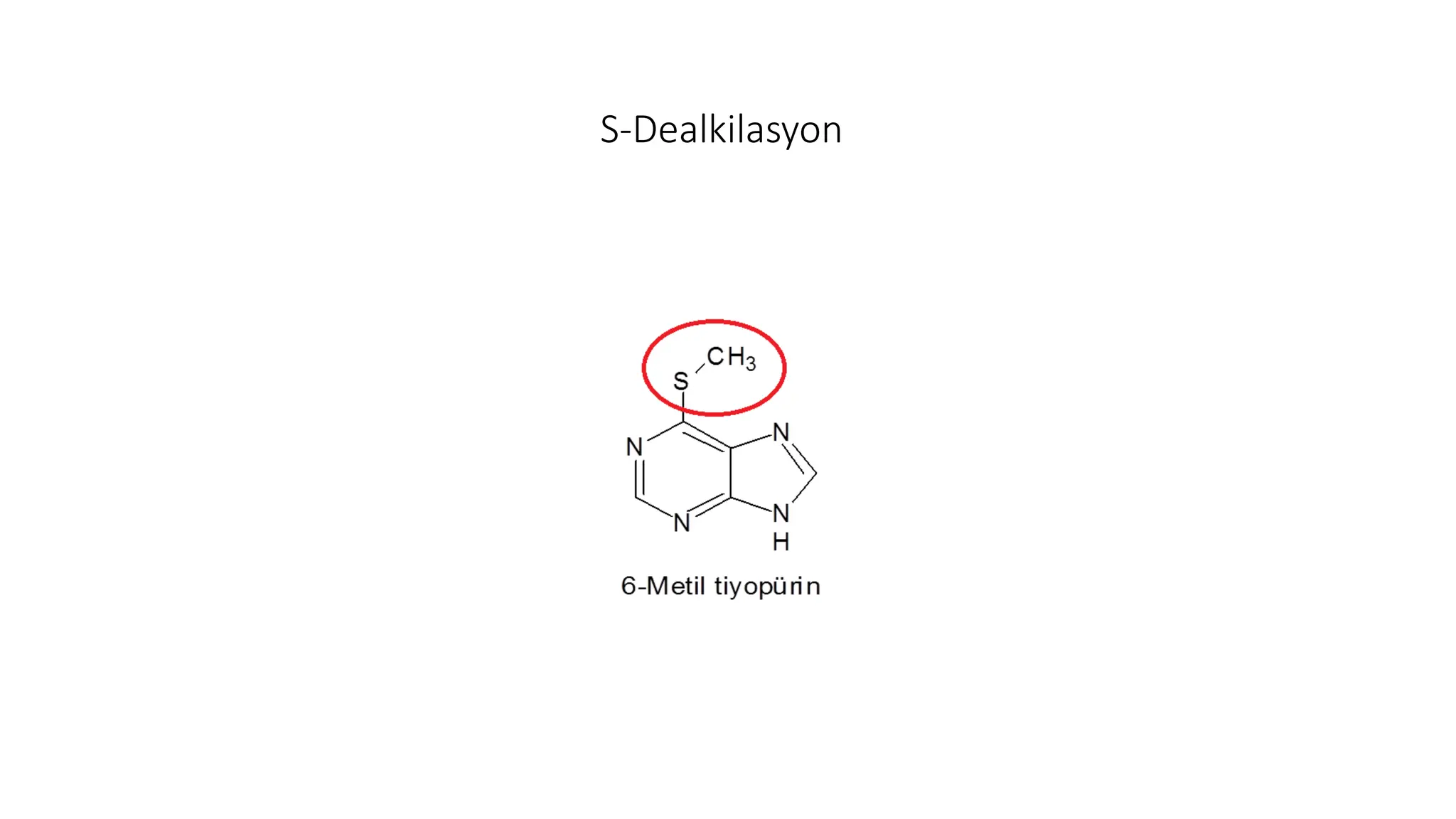 phase 1 reactions of metabolism of drugs | PDF