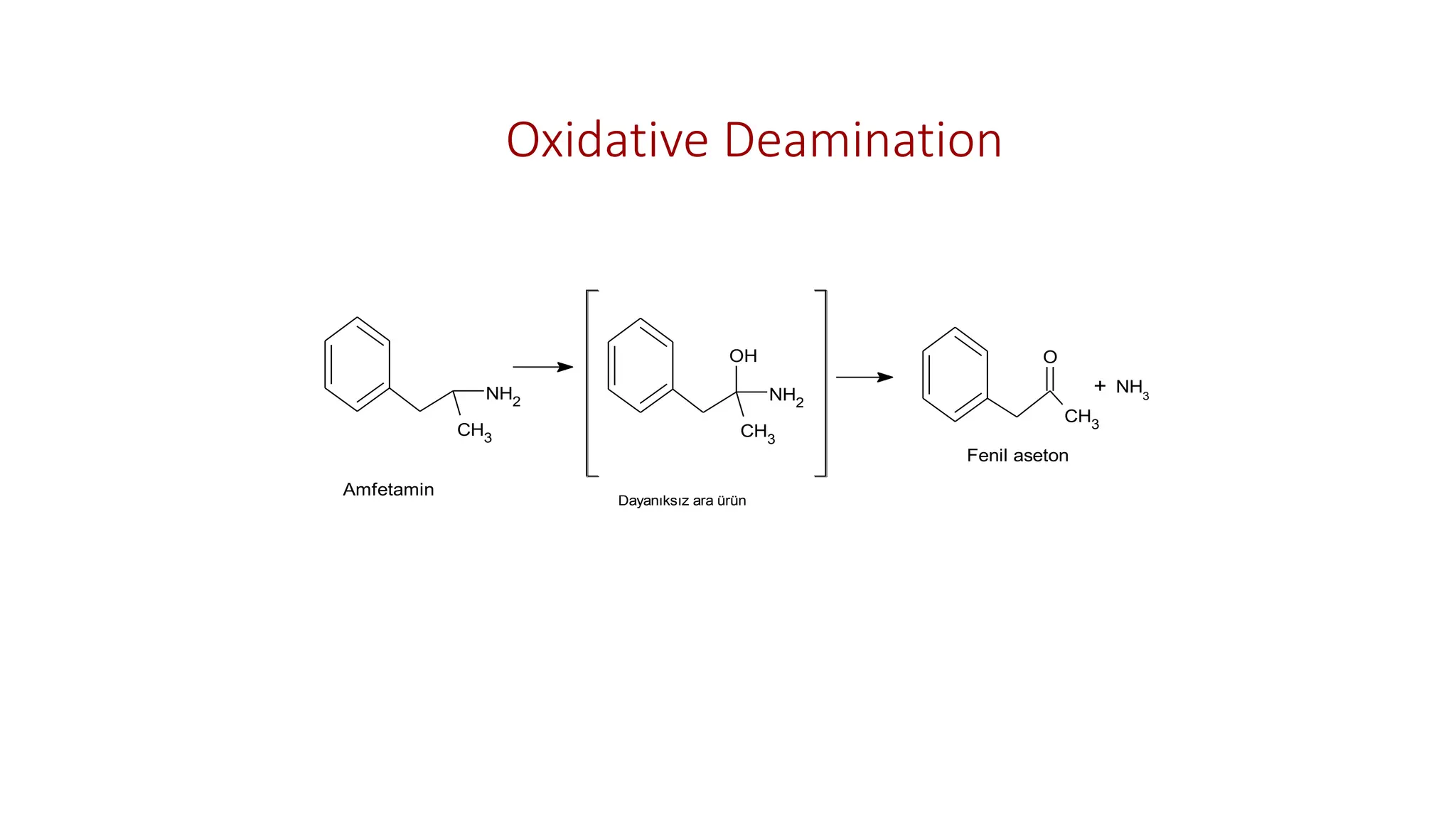 phase 1 reactions of metabolism of drugs | PDF