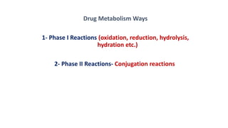 phase 1 reactions of metabolism of drugs | PDF