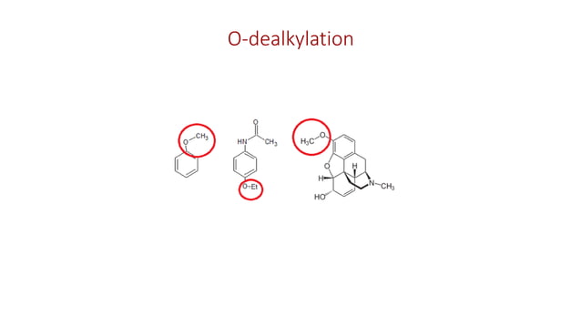 phase 1 reactions of metabolism of drugs | PDF