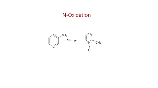 phase 1 reactions of metabolism of drugs | PDF