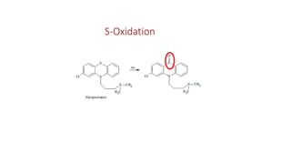 phase 1 reactions of metabolism of drugs | PDF