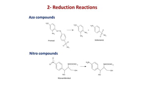 phase 1 reactions of metabolism of drugs | PDF