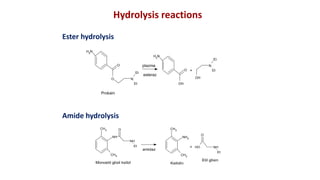 phase 1 reactions of metabolism of drugs | PDF