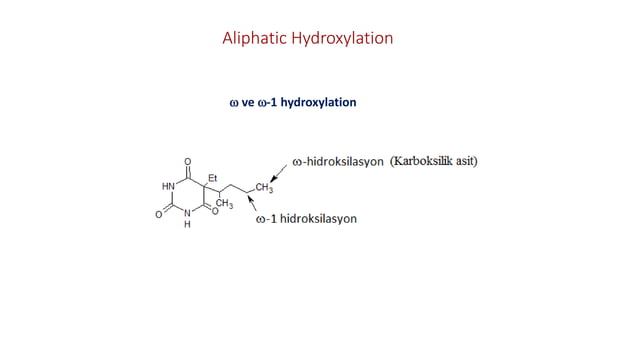 phase 1 reactions of metabolism of drugs | PDF