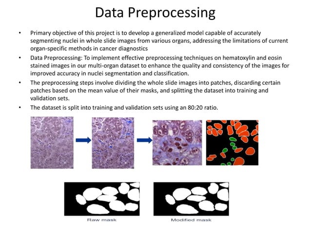 phase2.pptx project slides which helps to know the content | PPT
