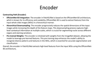 phase2.pptx project slides which helps to know the content | PPT
