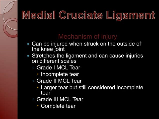 Injuries to ACL, PCL, and MCL | PPTX