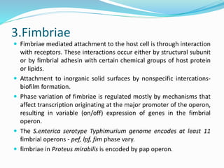 Phase and antigenic variations in bacteria | PPTX