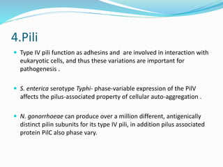 Phase and antigenic variations in bacteria | PPTX