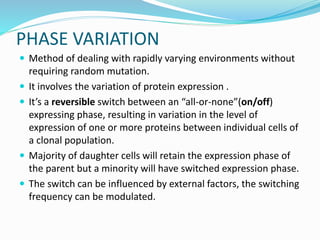 Phase and antigenic variations in bacteria | PPTX