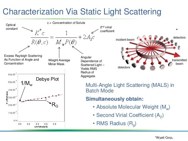 Multiangle dynamic light scattering - nipodtherapy