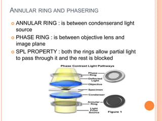 Phase contrast & Flurosence microscope | PPTX
