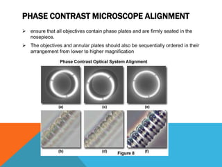 Phase contrast microscope | PPT