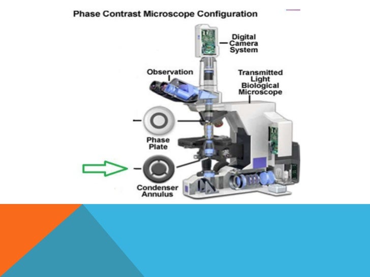 Phase contrast microscope