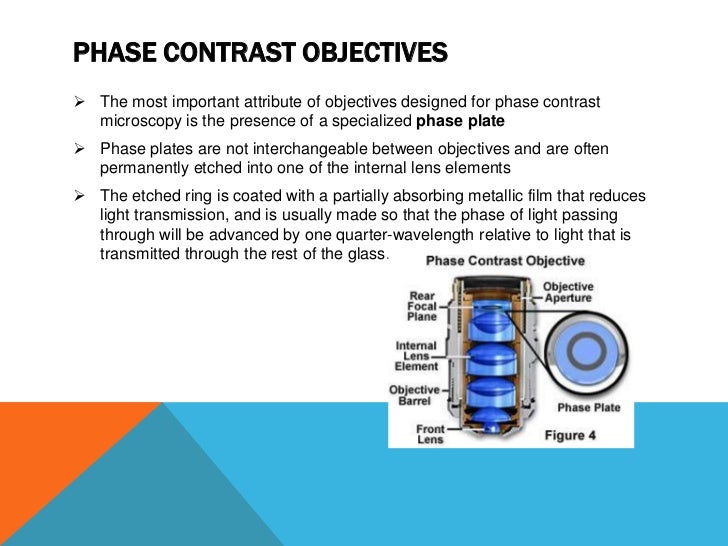 Phase contrast microscope