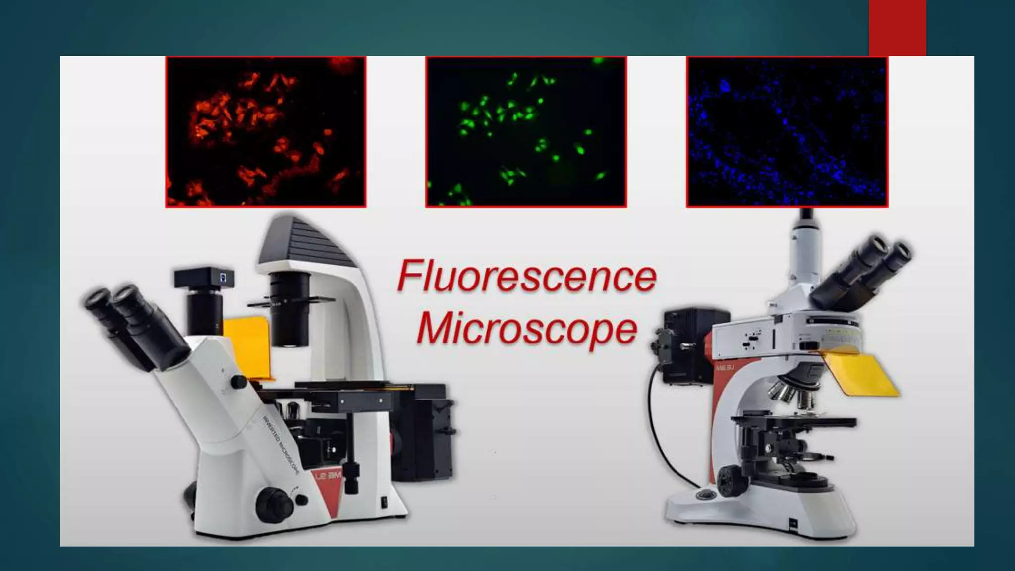 Phase contrast and Fluorescent microscope | PPTX