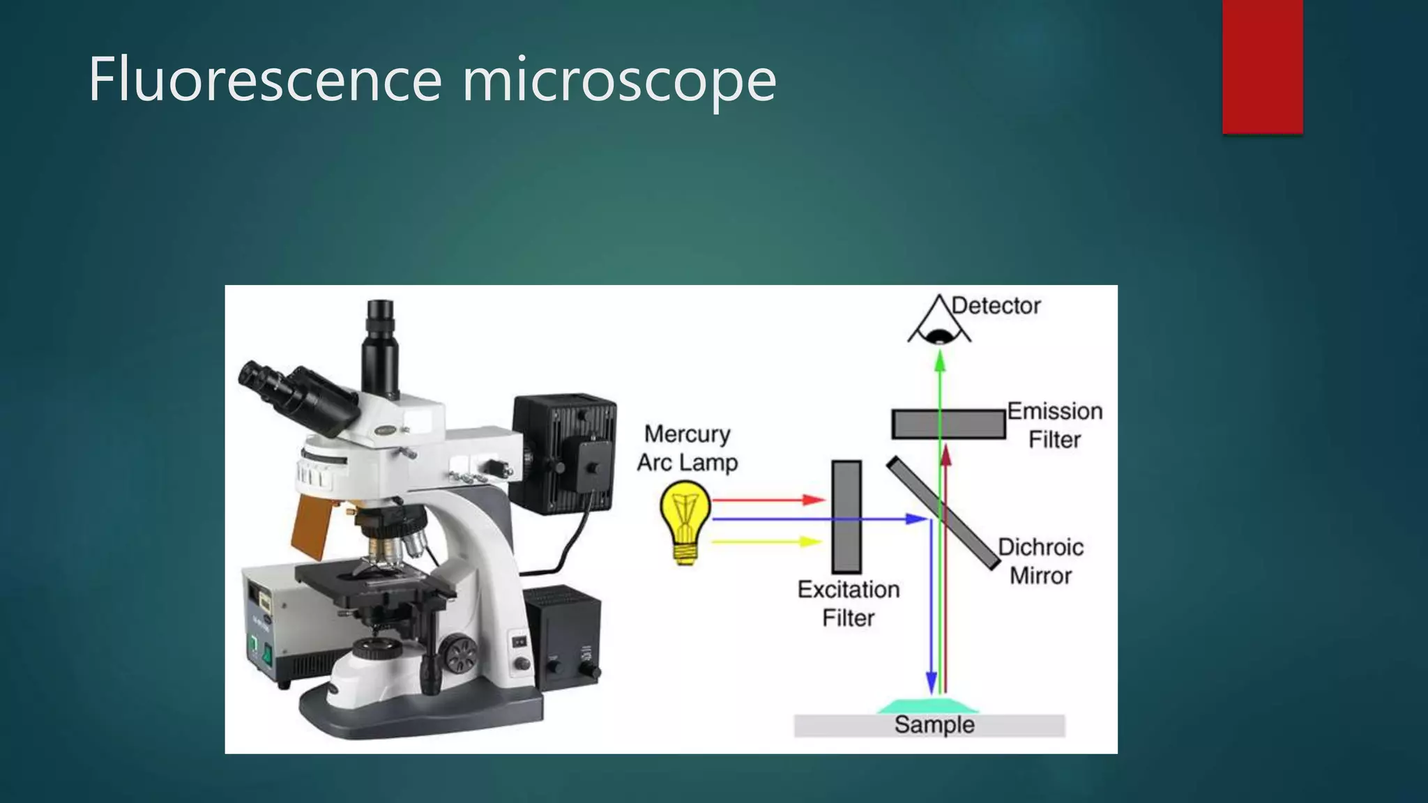 Phase contrast and Fluorescent microscope | PPTX