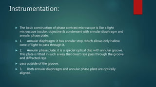 Phase contrast and Fluorescent microscope | PPTX