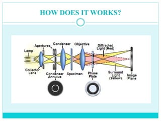 Phase contrast microscope | PPTX