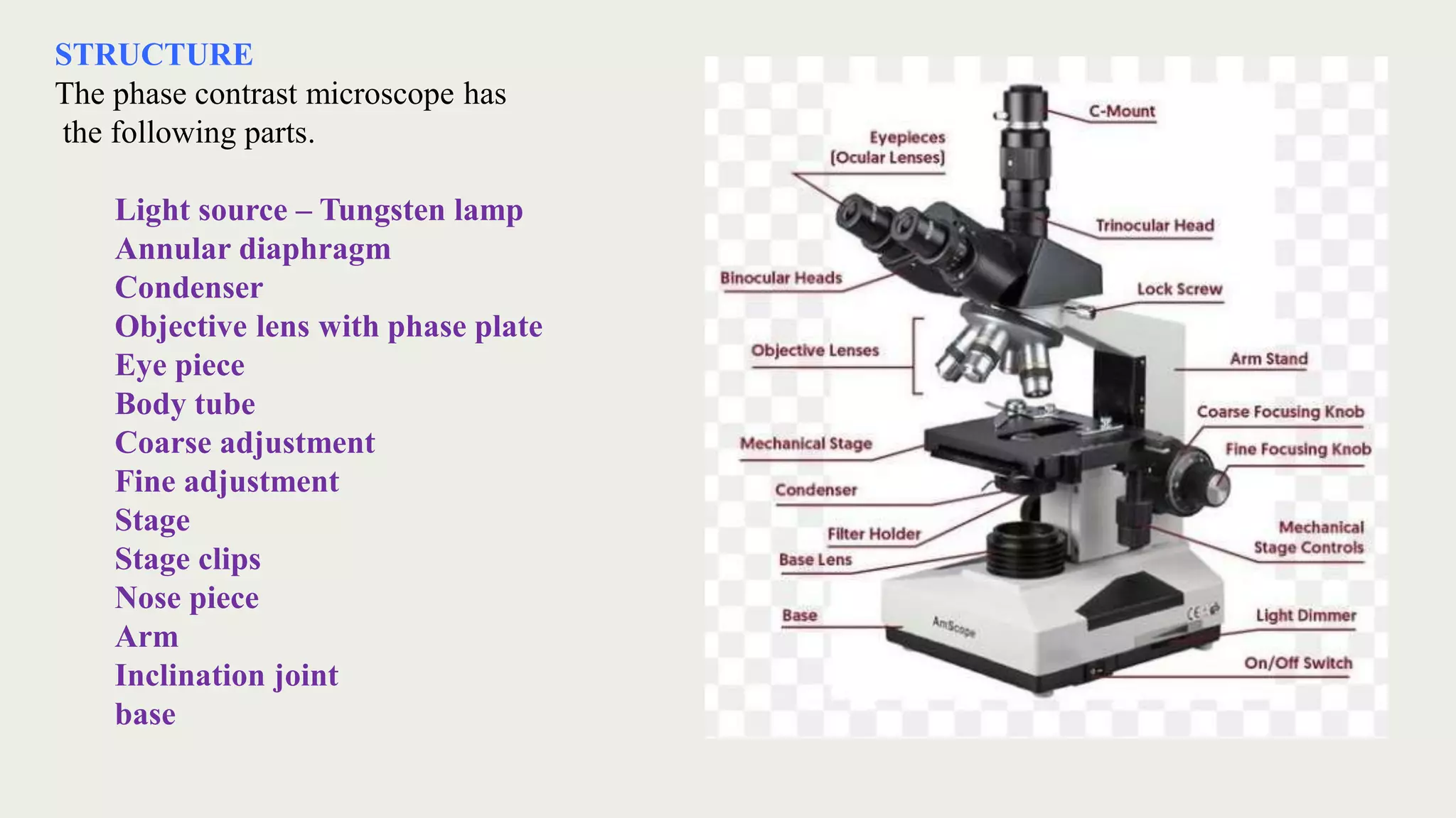 Phase contrast microscope | PPTX