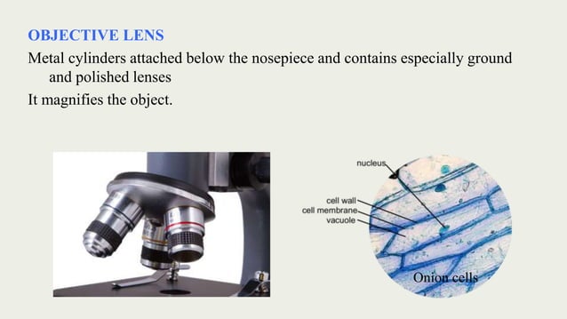 Phase contrast microscope | PPTX | Photography | Arts and Crafts