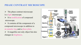Phase contrast microscope | PPTX