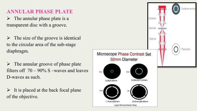 Phase contrast microscope | PPTX | Photography | Arts and Crafts