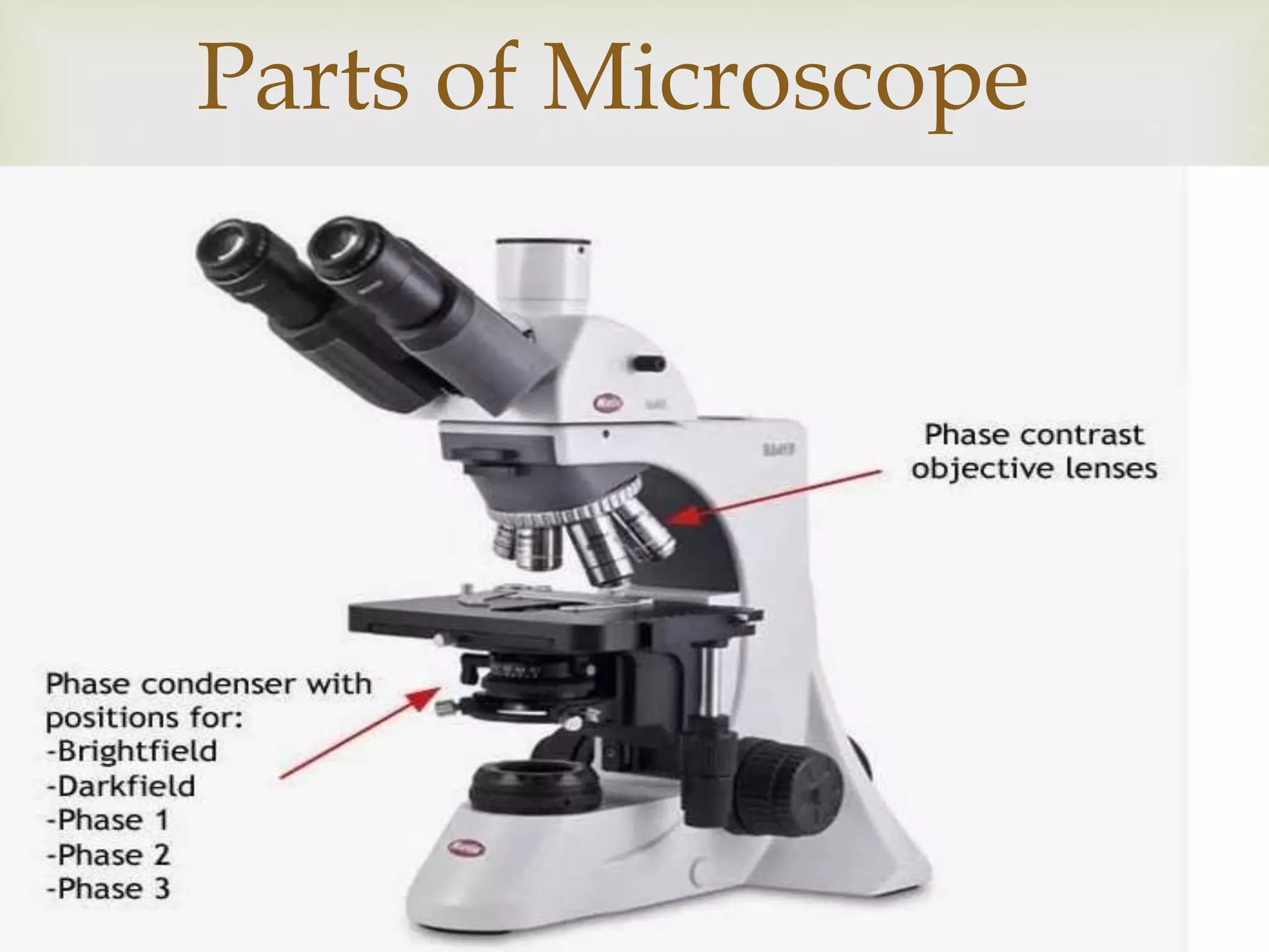 Phase contrast microscope | PPTX