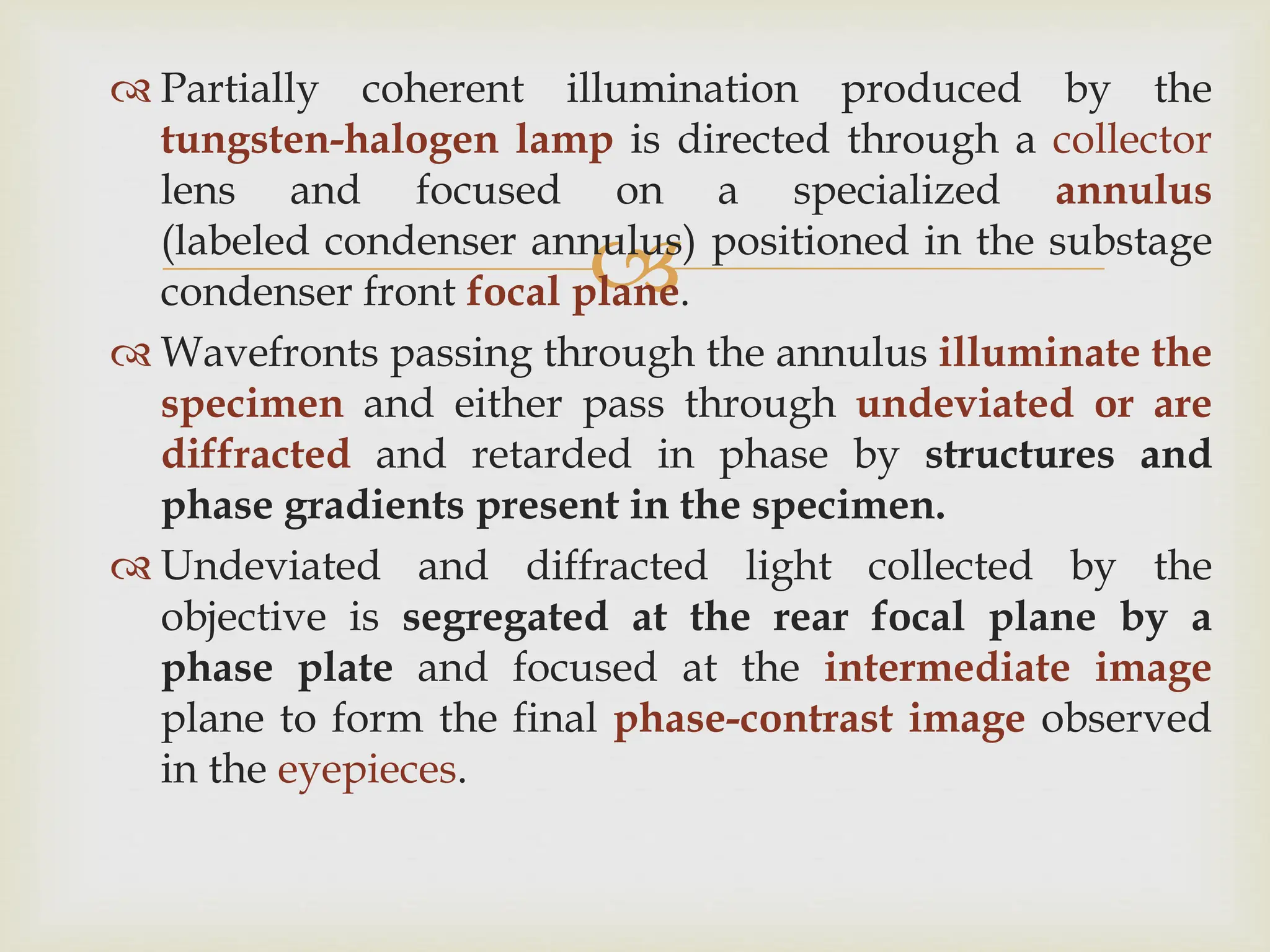 phasecontrastmicroscope-210805055149 (1).pdf