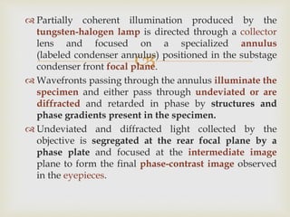 phasecontrastmicroscope-210805055149 (1).pdf
