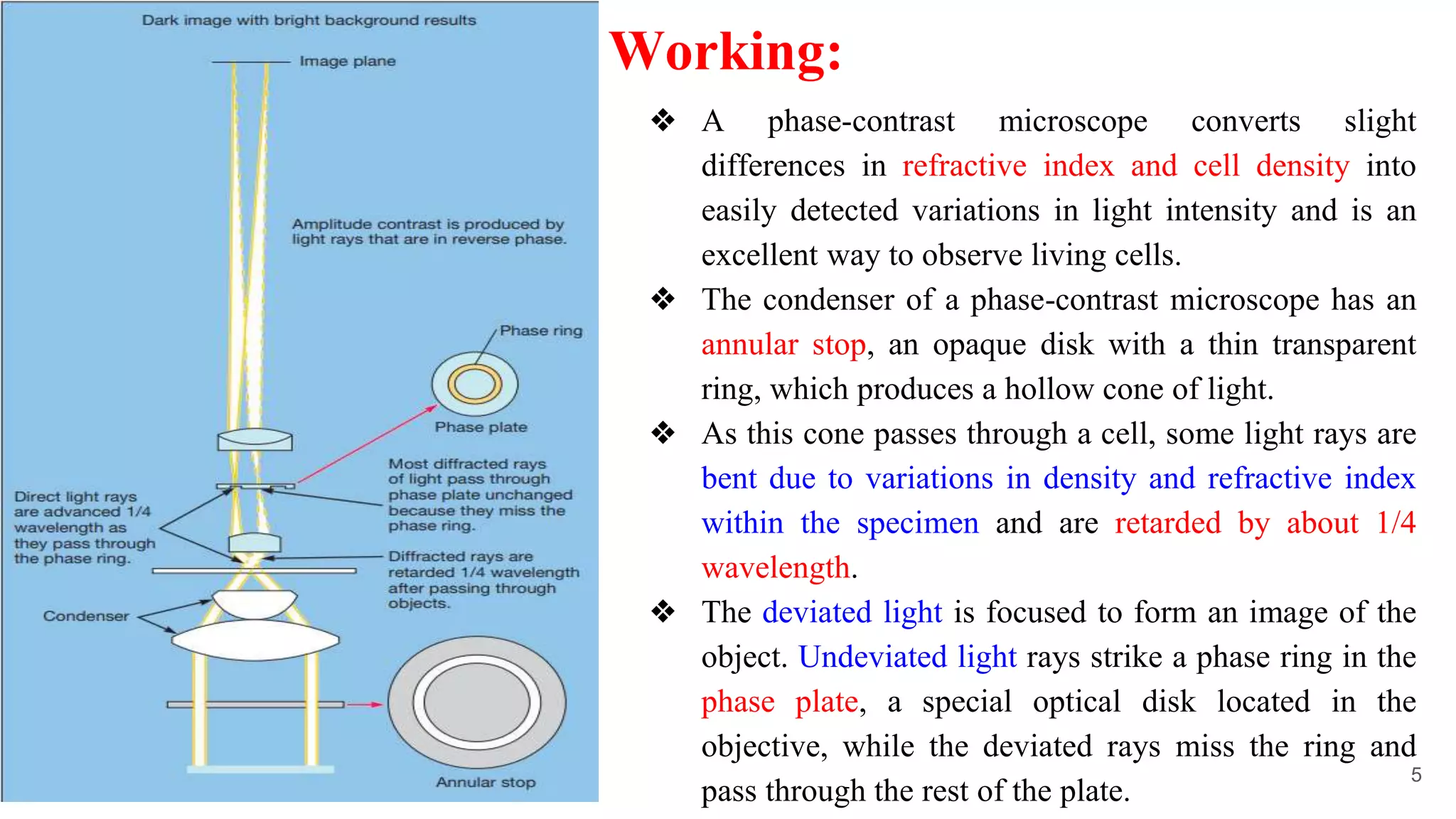 Phase contrast microscope | PPTX