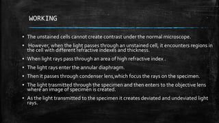 PHASE CONTRAST MICROSCOPE. | PPT