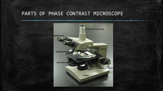 PHASE CONTRAST MICROSCOPE. | PPTX