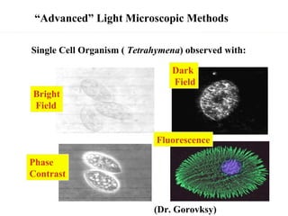 Phase contrast microscopy | PPT