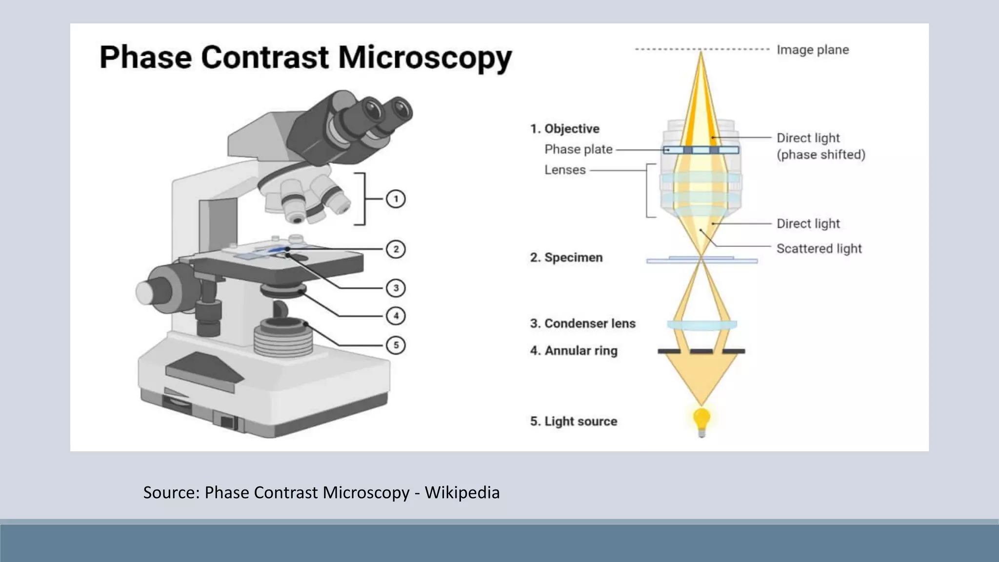 PHASE CONTRAST MICROSCOPY.pdf