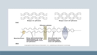 PHASE CONTRAST MICROSCOPY.pdf