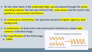 PHASE CONTRAST MICROSCOPY.pdf