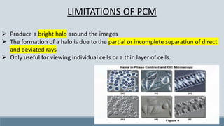 PHASE CONTRAST MICROSCOPY.pdf