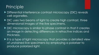 Phase Contrast Microscopy & Differential Interference Contrast Microscopy (DIC).pptx | Physics ...