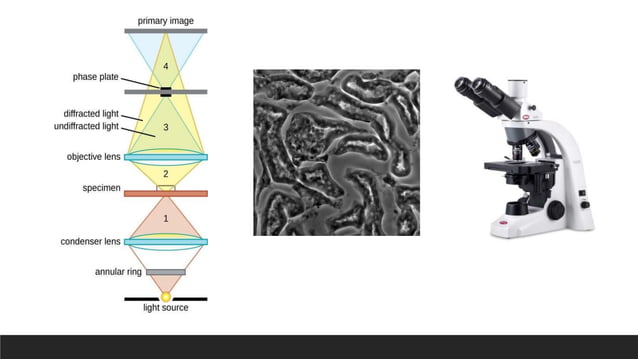 PHASE CONTRAST MICRSCOPY characteristics of material .pptx