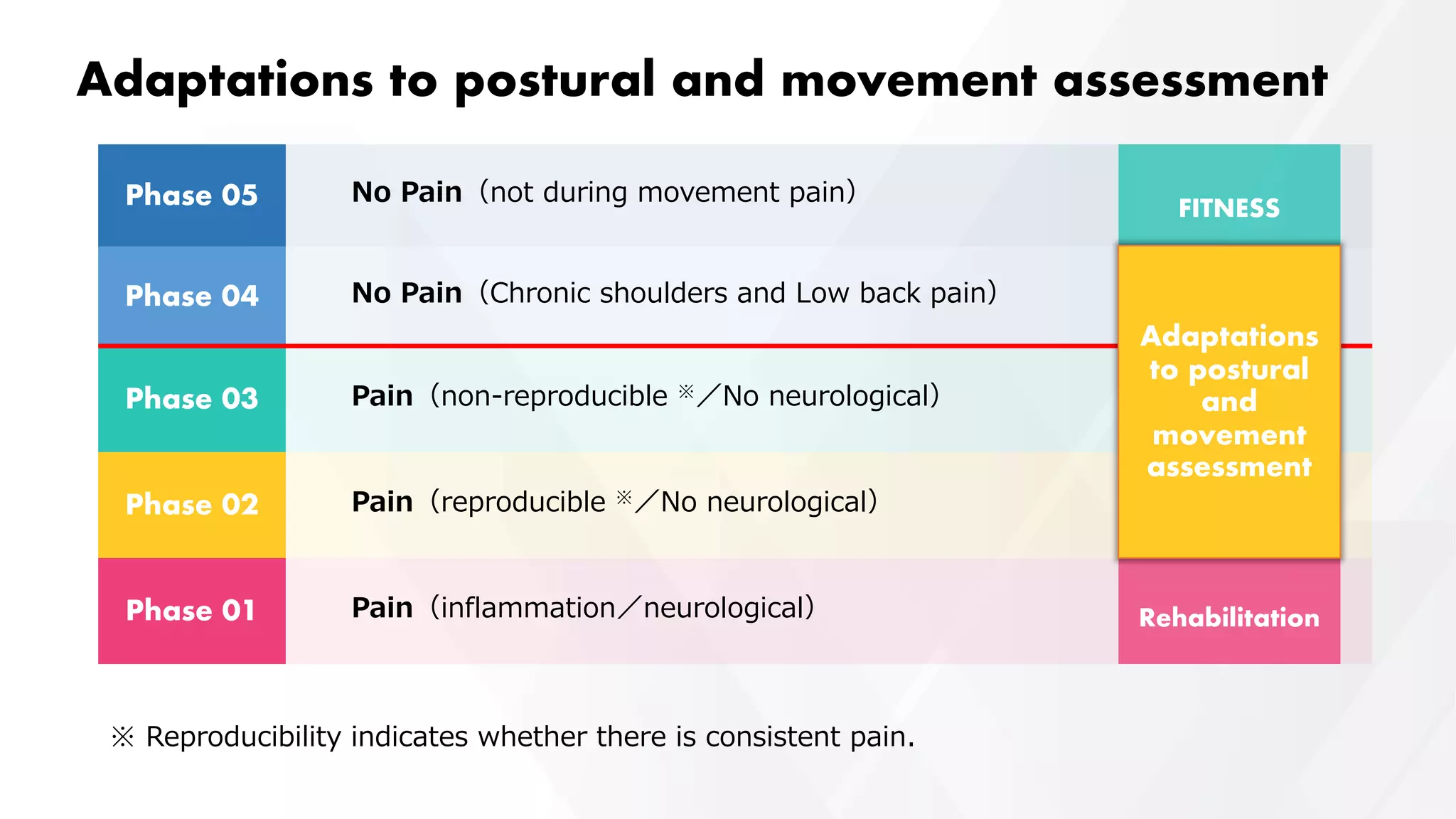 Phased approach of Connecting from posture and movement assessment (1).pdf