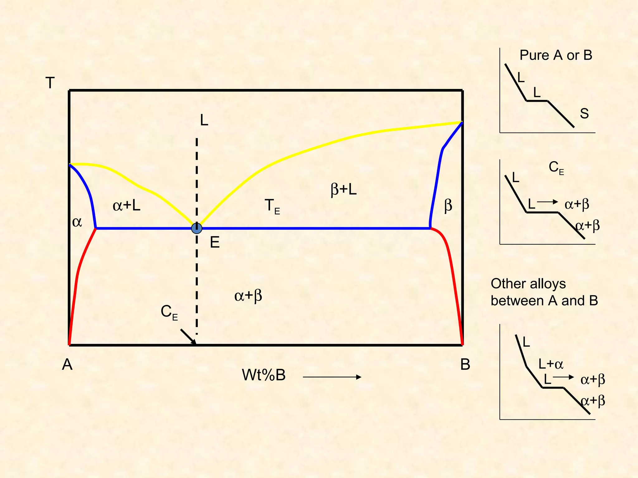 Phase diagram (Muda Ibrahim) | PPT